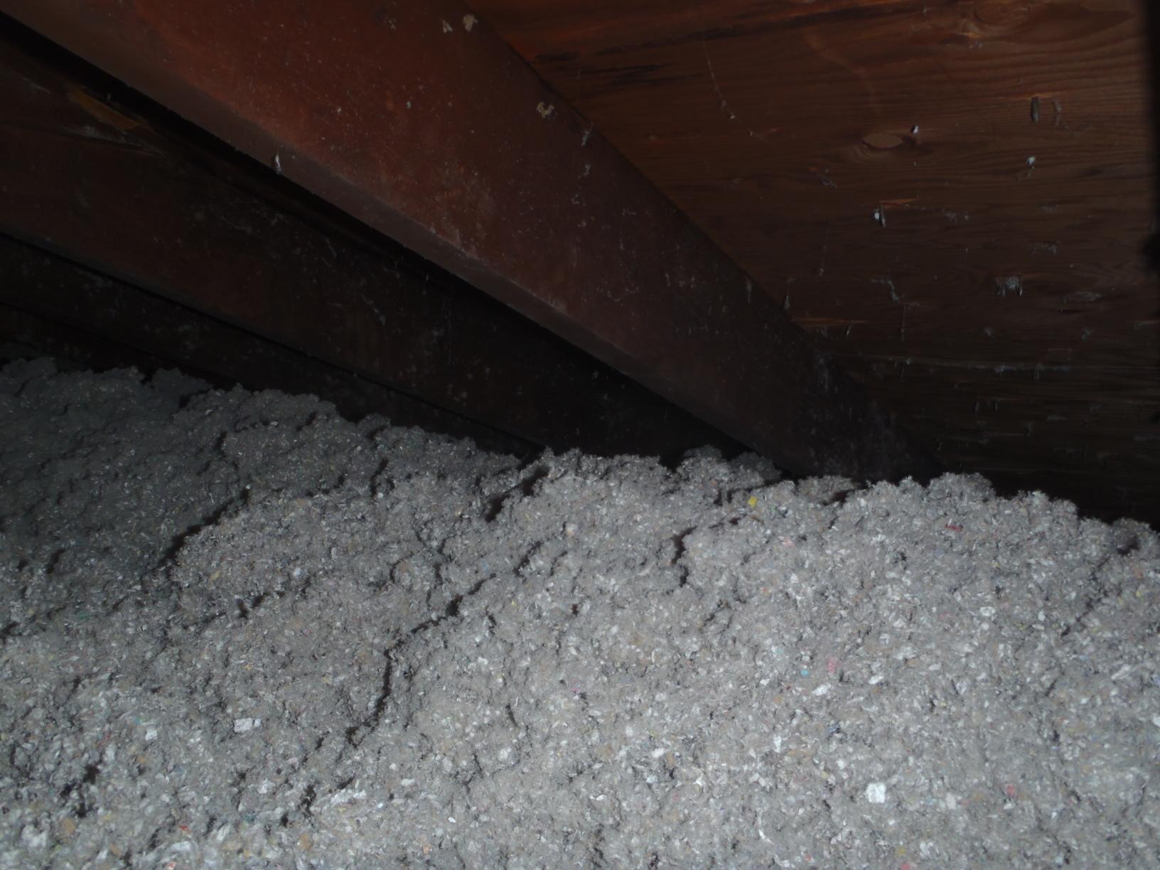 Cellulose Insulation