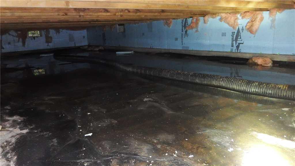 Crawl Space Repair - CleanSpace Cleans Up Damp Alanson, MI Crawl Space ...