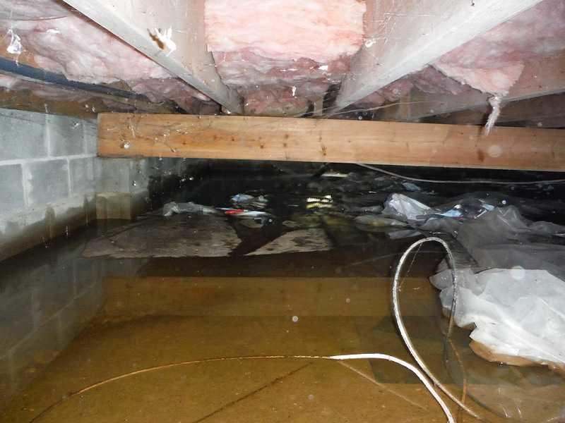 Crawl Space Repair - Crawl Space Water Damage in Queenstown, MD - Water ...