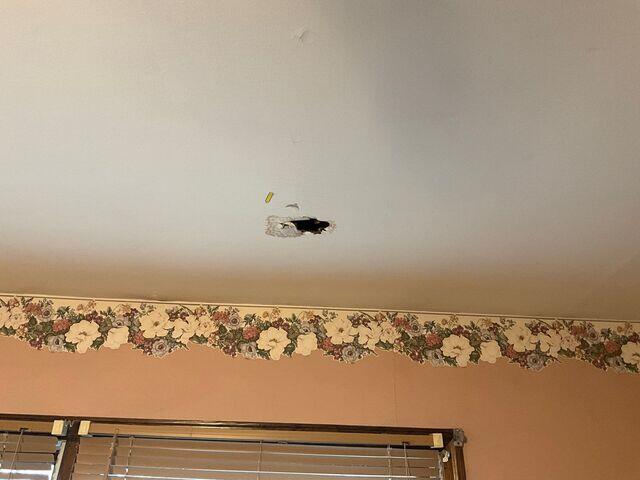 Drywall Doctor of Central New Jersey - Ceiling Repair Photo Album ...